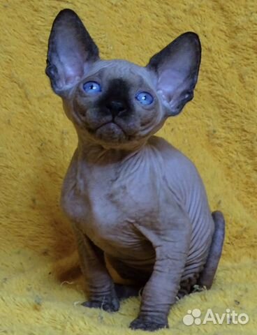 Открыт резерв