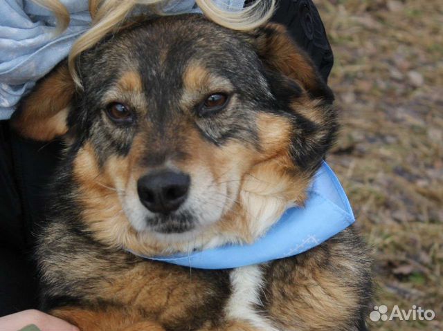 Устала жить в страхе