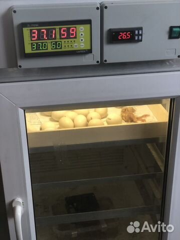 Цыплята бройлеры чешские кооб 700