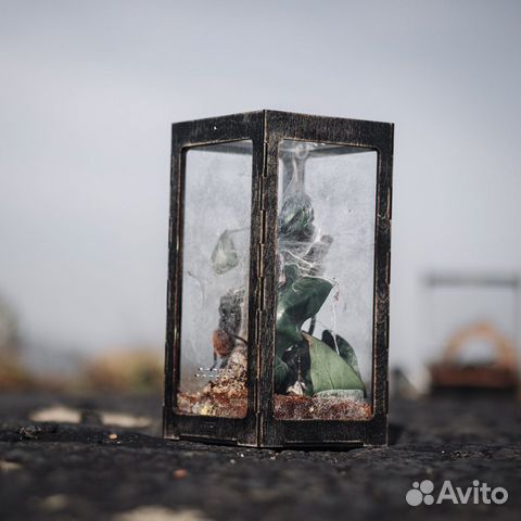 Террариум для паука птицееда