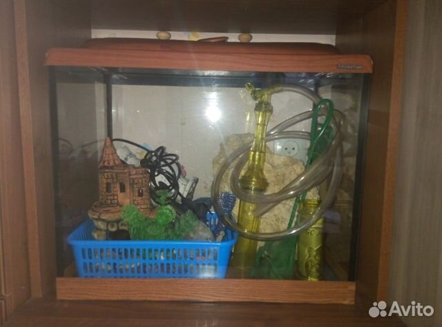 Аквариум +допы