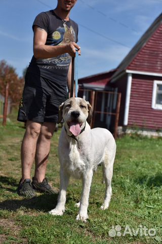 Прекрасная добрая Фея, 3 года