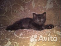 Уникальная девочка