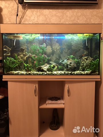Аквариум