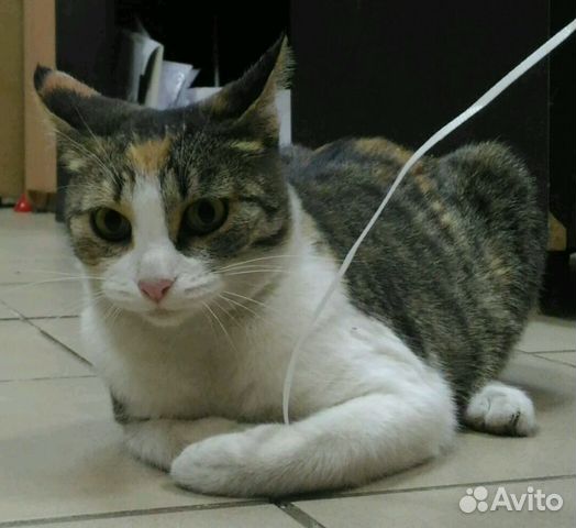 Мотя Мотенька