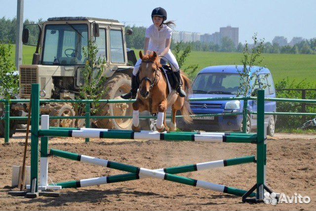 Кобыла для детей и в семью