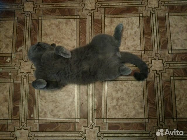Вязка