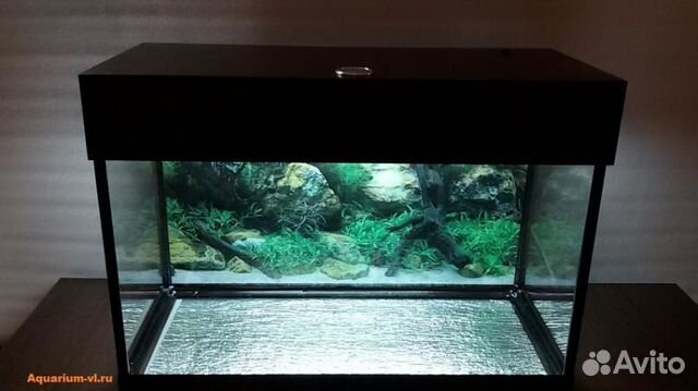 Аквариум