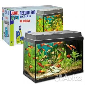 Аквариум juwel rekord 600