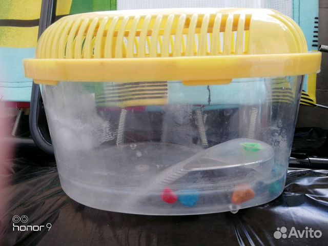 Контейнер для черепахи