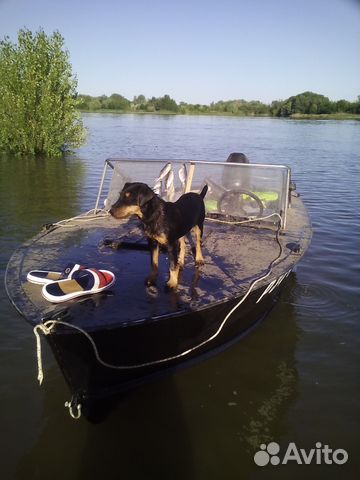 Пропали ягдтрьеры