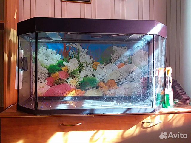 Аквариум 250 л