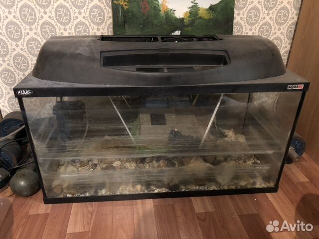 Аквариум pearl