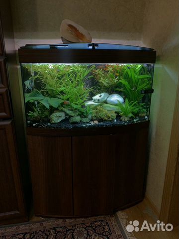 Аквариум juwel 180л с тумбой