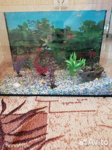 Аквариум