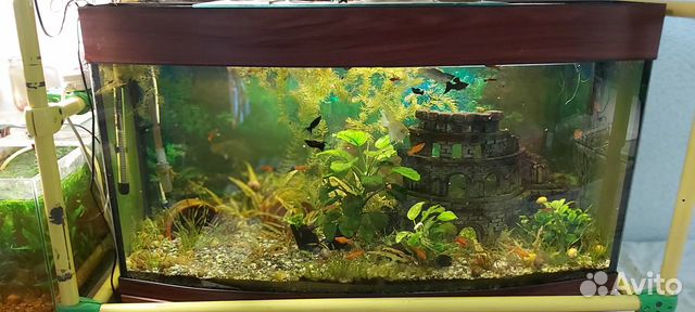 Панорамный Аквариум 300 литров