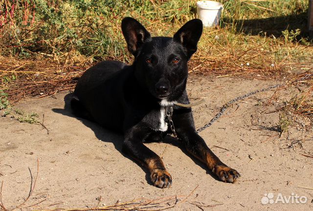 Кира 7 месяцев