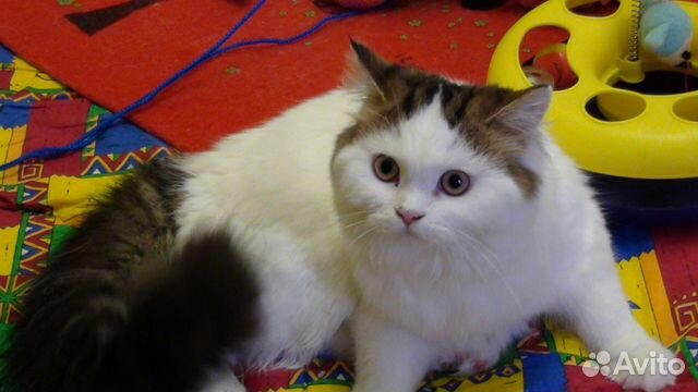 Магия очарования