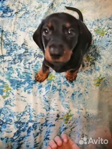 Мальчик ищет семью)