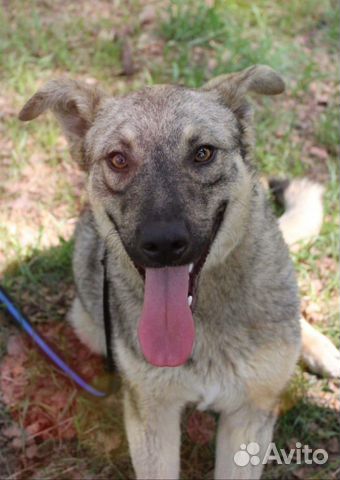 Малыш Смайлик ищет добрые руки