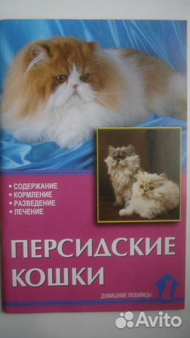 Кошки персидские