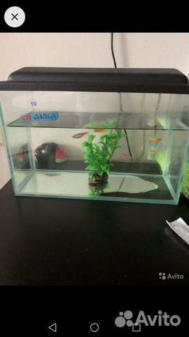 Аквариум 10литров