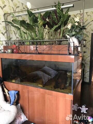 Аквариум 190х90х70см