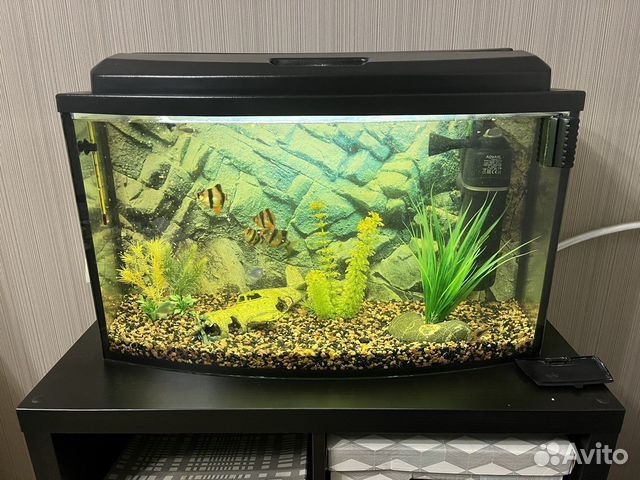 Аквариум