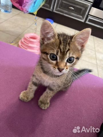 Европейская