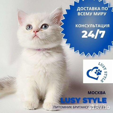 Девочка на 5 звезд