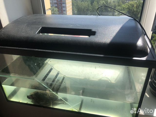 Черепаха Красноухая и аквариум