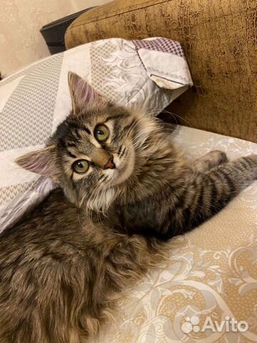 Ну какая же она пупс сладкий