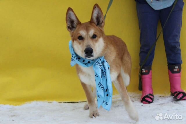 Красотка Лесли