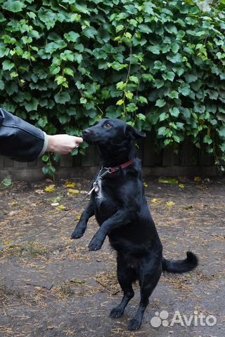 Верочка в самый лучший дом