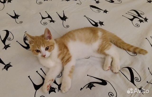 Солнечный мальчик