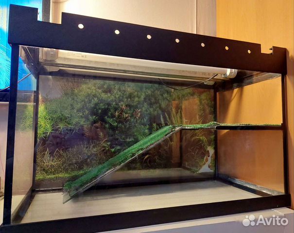 Аквариум для черепах и рыб
