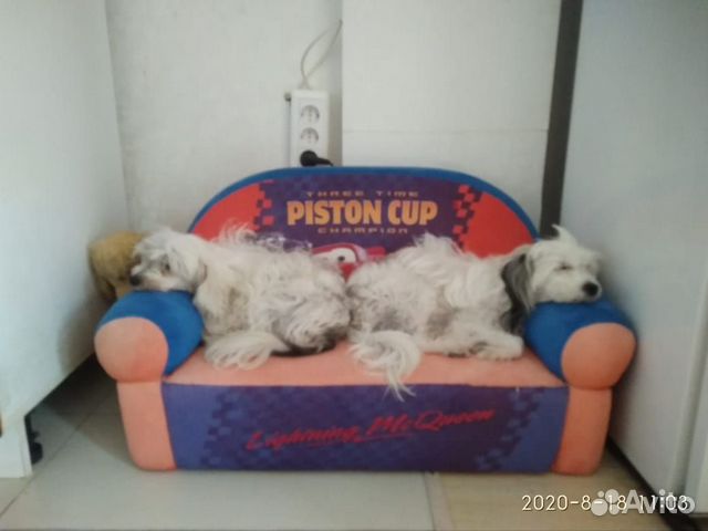 Ищем жениха для своей девочки