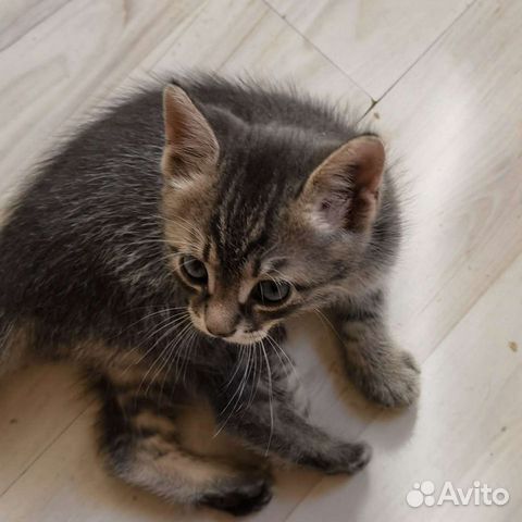 Малышка в добрые руки