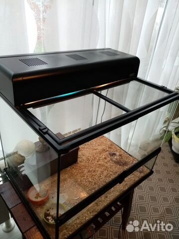 Черепаха с террариумом