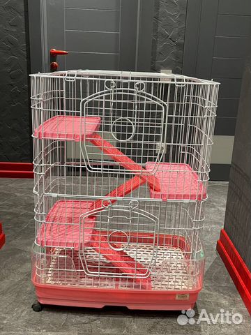 Шиншилла девочка + домик