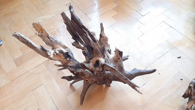 Коряга пень