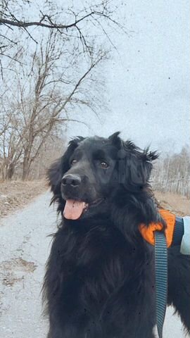 Ракета подарит счастье