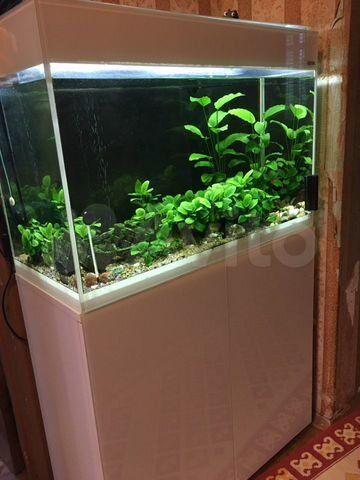 Аквариум Aquael 125 литров