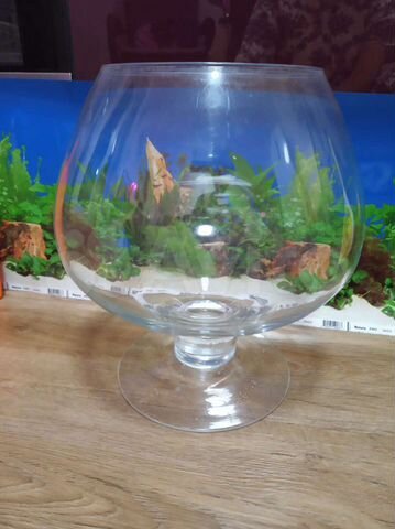 Аквариум рюмка 10 л